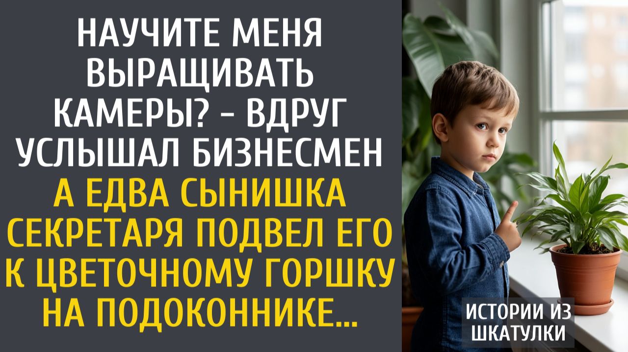 Истории из жизни: Научите меня выращивать камеры? - вдруг услышал бизнесмен… А едва мальчик подвел…