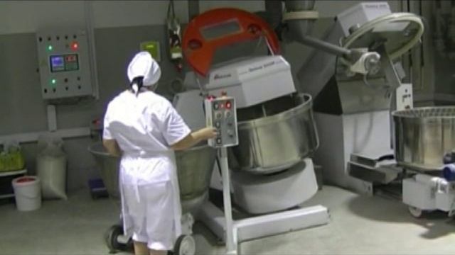 Тестомесильная машина Прима-300Р