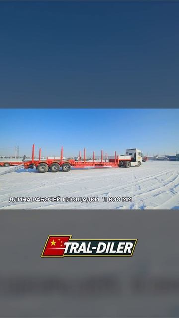 Высокорамник, который МОЖЕТ ВСЕ! AMUR LYR9606TDP