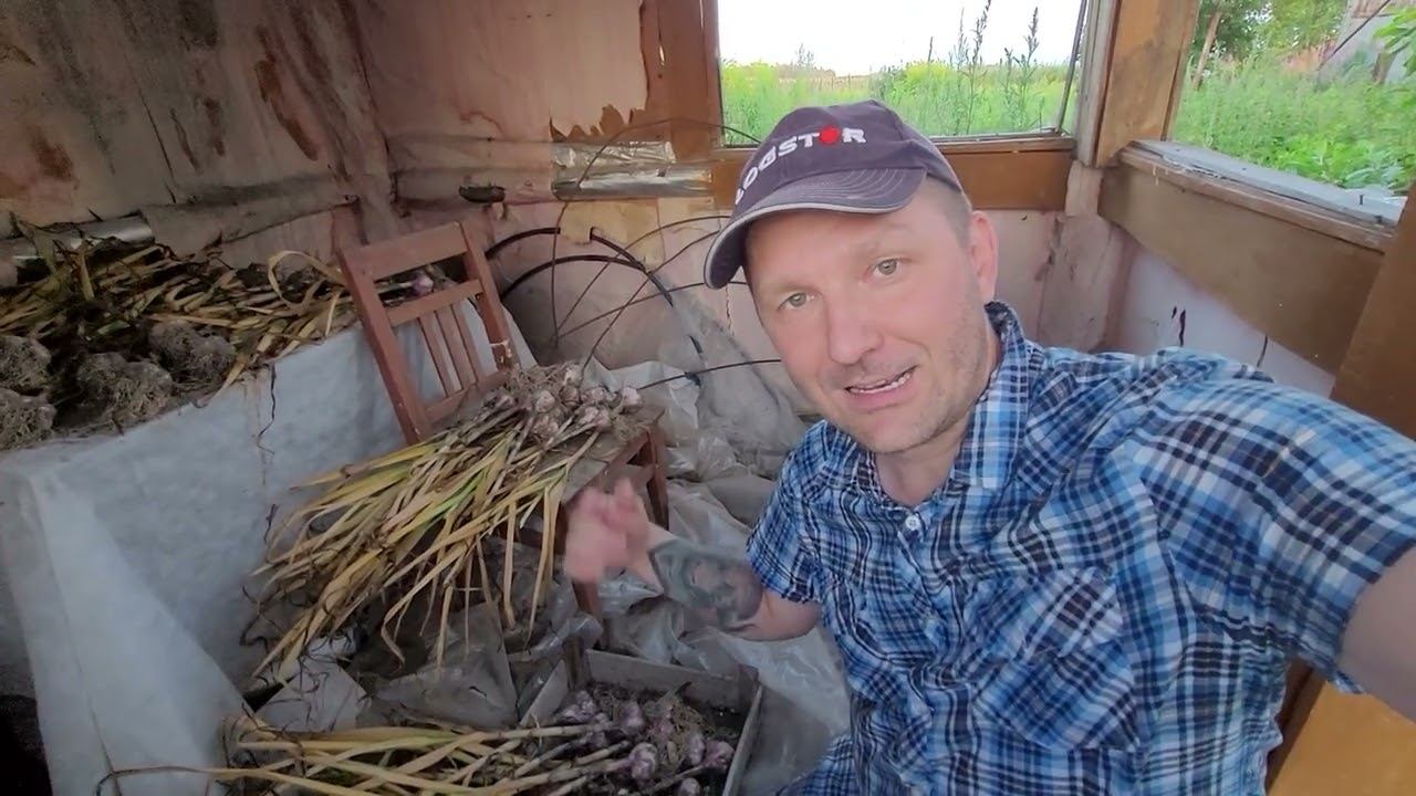 Обзор огорода на конец июля. Как растёт картофель и другие культуры.