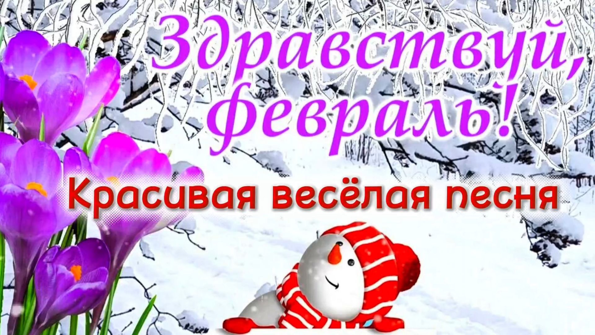 ЗДРАВСТВУЙ ФЕВРАЛЬ! НОВАЯ ВЕСЁЛАЯ ПЕСНЯ!