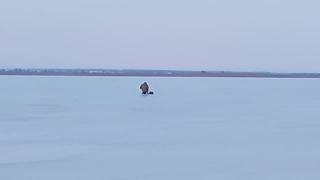 Не клюёт VID_20260128_162021