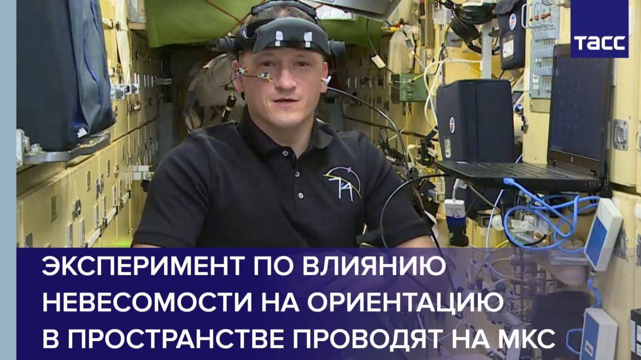 Эксперимент по влиянию невесомости на ориентацию в пространстве проводят на МКС