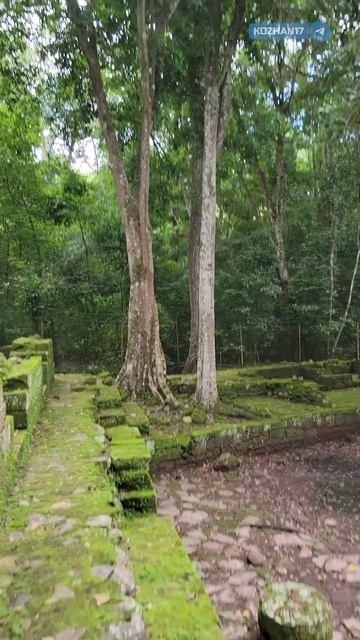 Древние пирамиды майя в Гондурасе