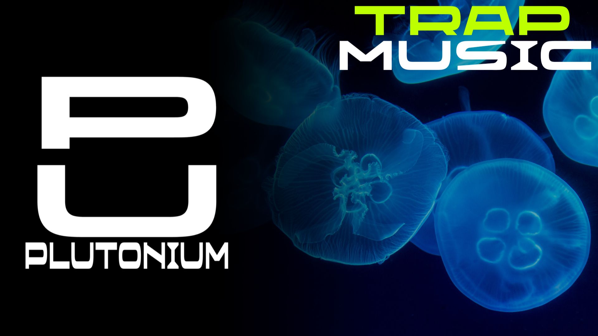 T-Shirts & Sweats - What In The. [Trap]