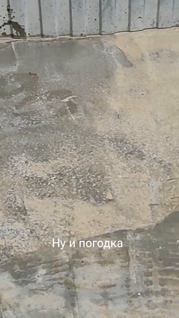 Опять град сыпанул