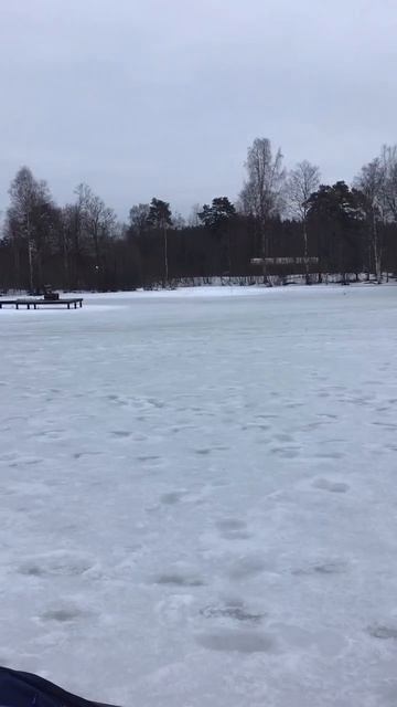 Ленобласть. 30.01.2026. Река Вуокса зимой. Рыбалка