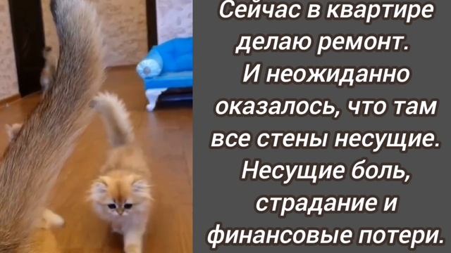 Анекдот из Сыктывкара 🤣