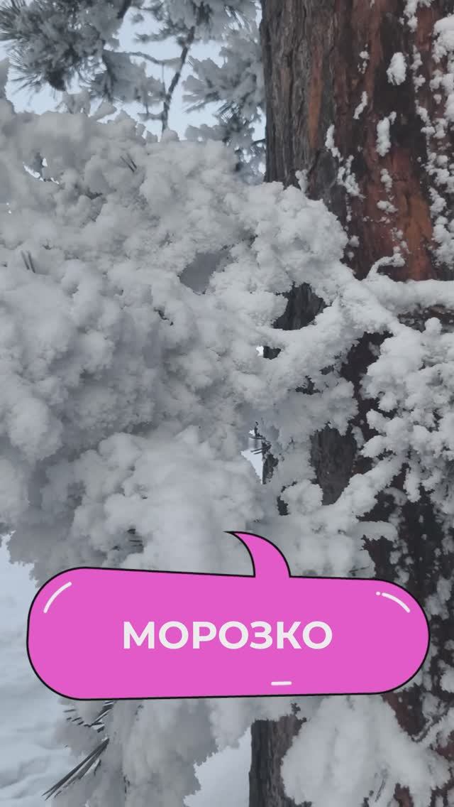 Морозко! Сказка вокруг нас!