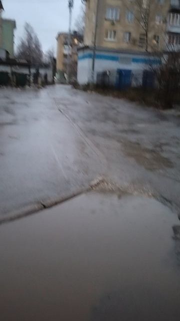 №1013 Двор Г. Звезда 73-Красноармейская 52 15 ноября 2025 г., 17:03:25 VID_20251115_170311004