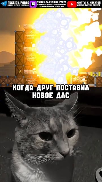 Кот без реакции | #русскиефорты #forts #meme #shorts #memes