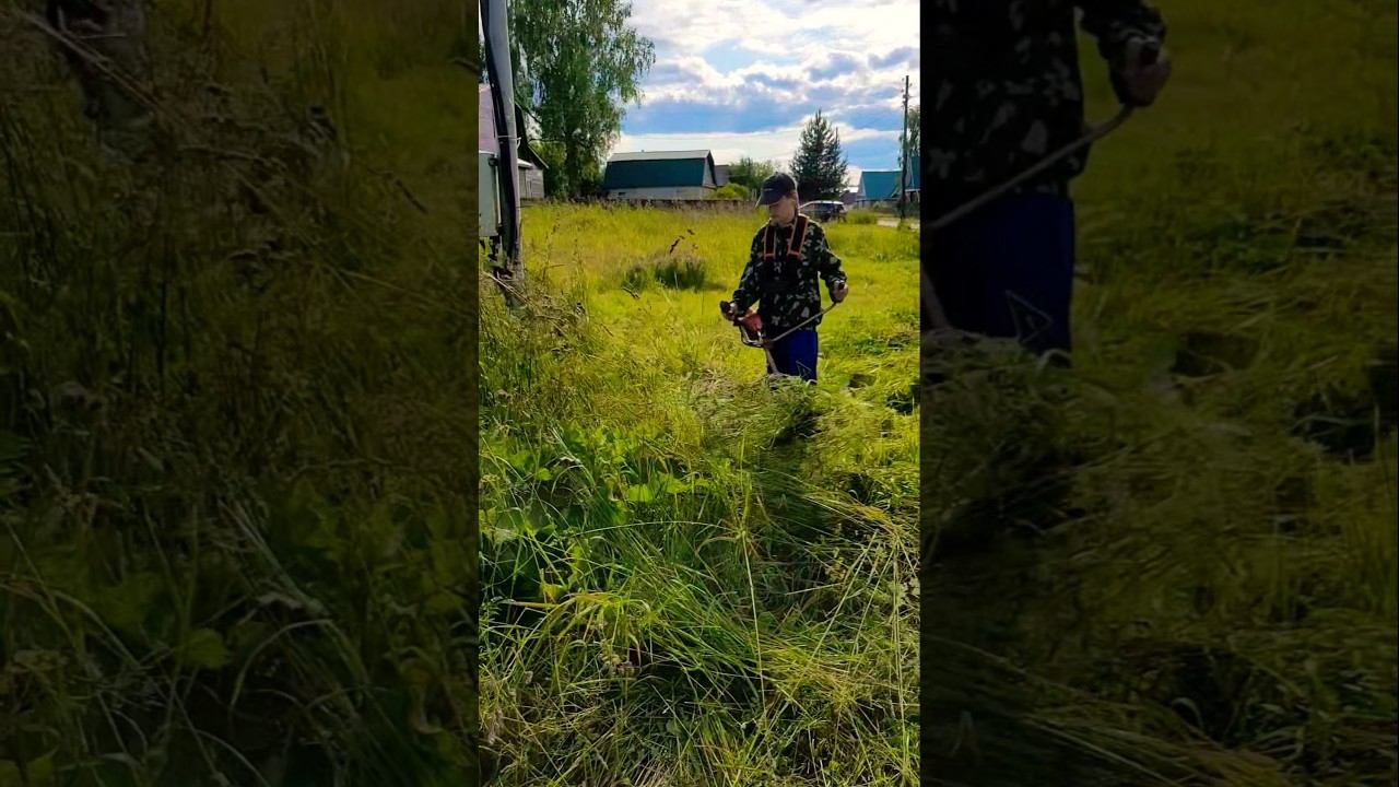 Деревенское детство. #удачныевыходные #коса #тример