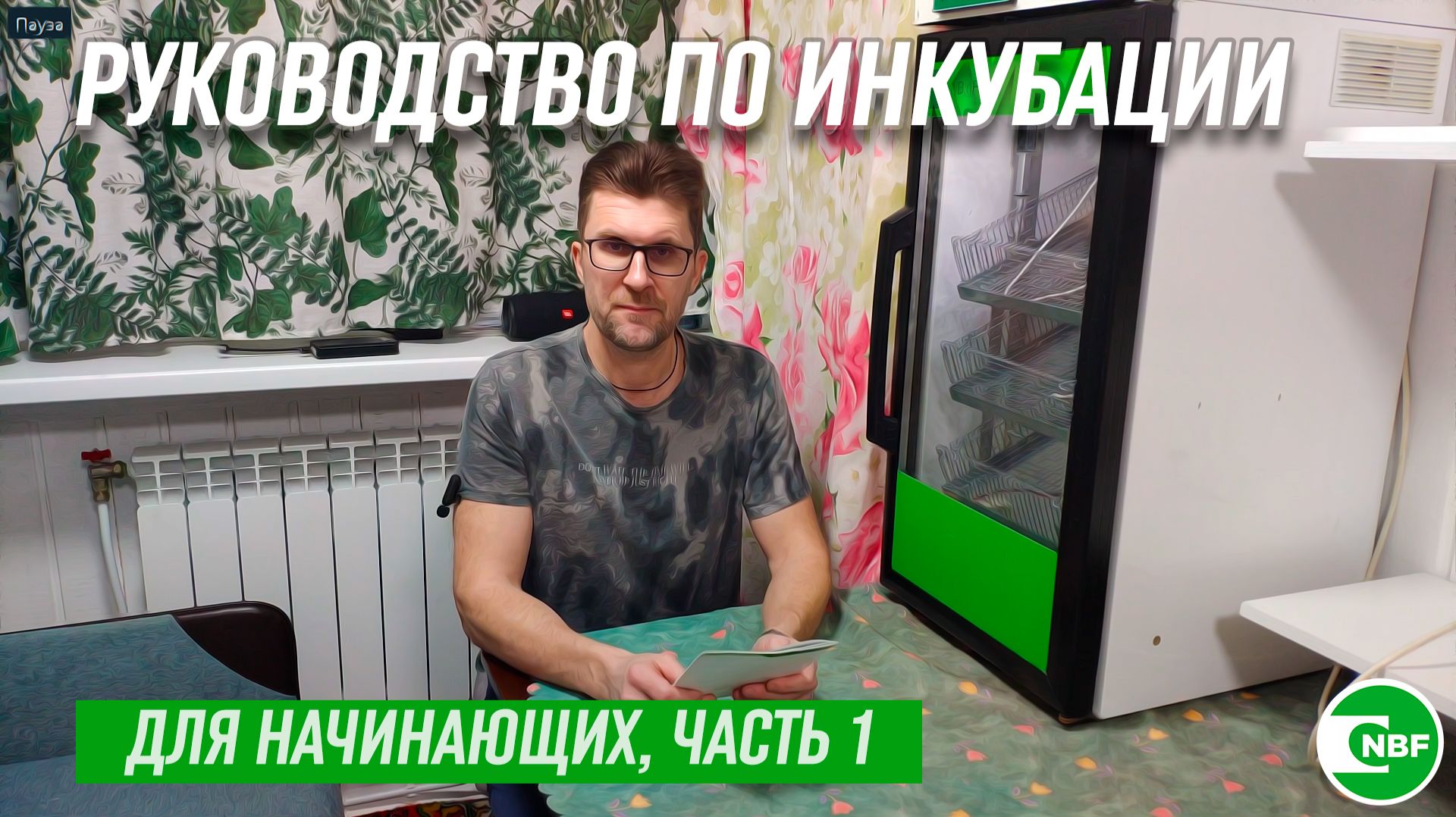 Руководство по инкубации для начинающих, часть 1