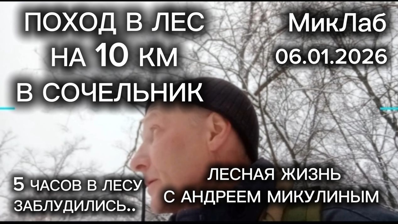 Поход в Лес на 10 км в Сочельник. Лесная Жизнь с Андреем Микулиным. Выпуск от 06.01.2026. МикЛаб