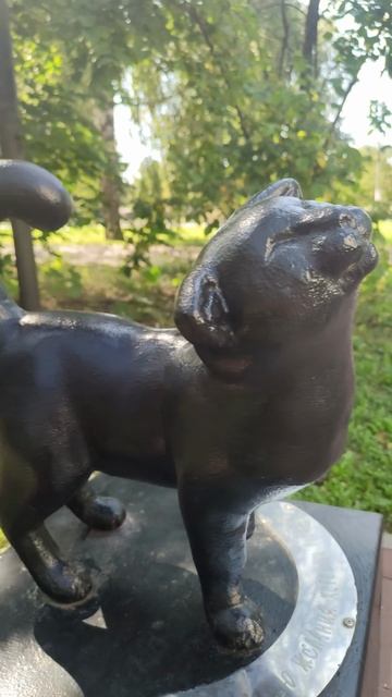 Погладь и желание сбудется