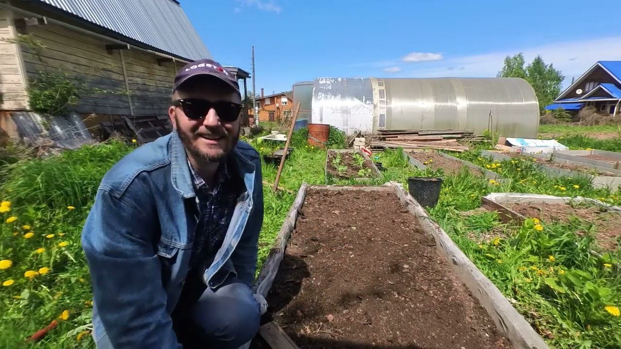 Хотите вырастить лучшую свеклу? Смотрите это видео прямо сейчас!