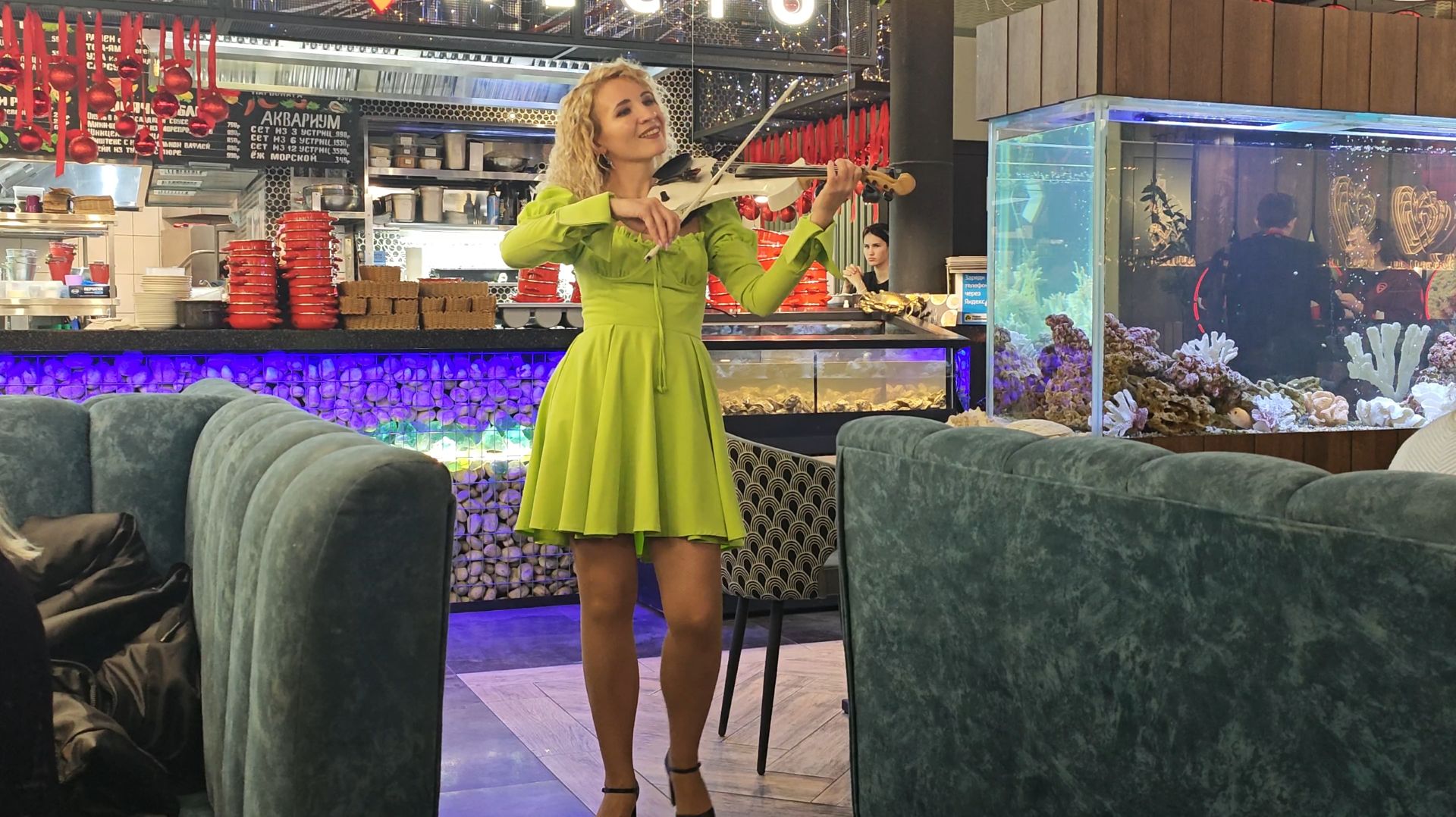 Музыкальный вечер в жанре лаунж скрипачки Евгении Мальцевой 29 января 2026 г.