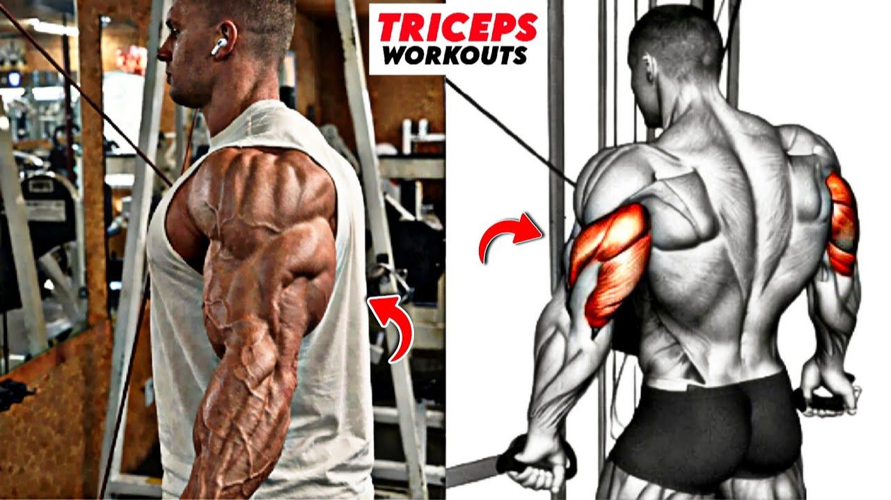 8 Невероятных Упражнений На Трицепс в Тренажерном Зале для Быстрого Увеличения Размера🔥