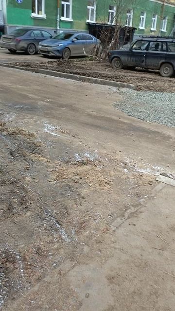 №1000 ул. Полины Осипенко. 12 ноября 2025 г., 14:29:48 VID_20251112_142933082