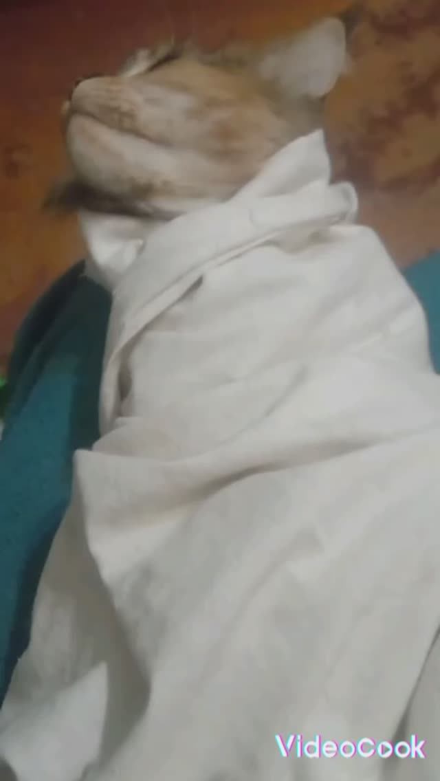 Чистим зубы, мажем десна секретным оруж@ем Кузеловны