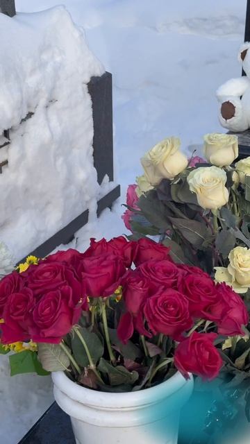 45 лет назад родилась Юлия Началова / могила певицы сегодня . 31 января 2026 Троекуровское кладбище