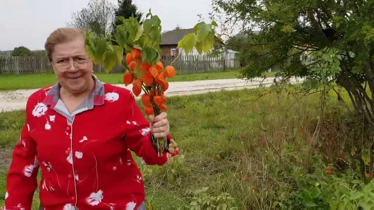 Из архива: В деревне всё спокойно/Собачка в порядке