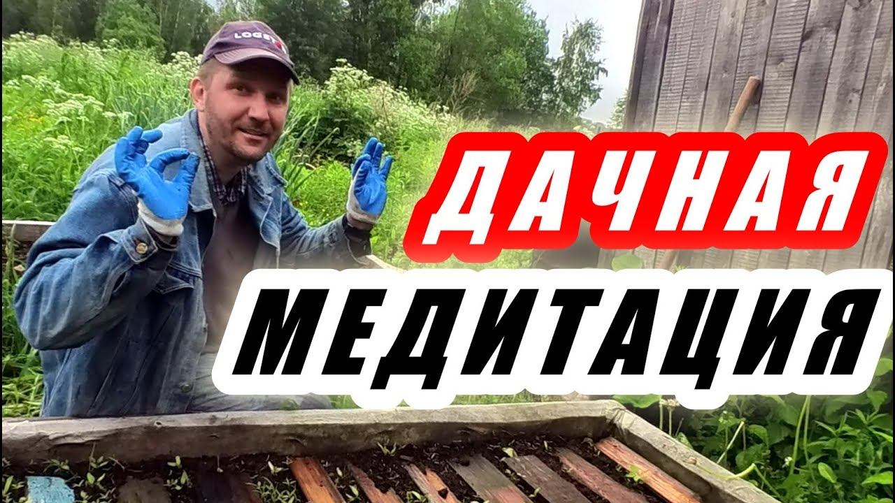 Прополка травы - лучший способ борьбы со стрессом!