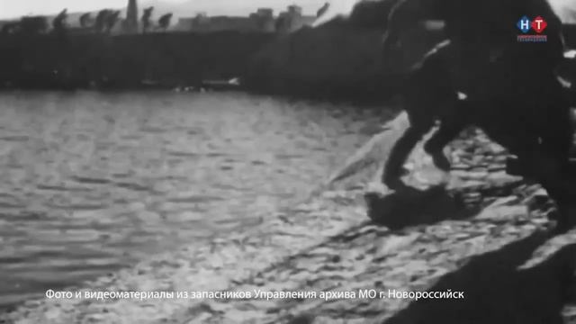 ДНЕВНИКИ БЕСКОЗЫРКИ