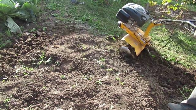 Вспашка культиваторм земли под грядки в огороде