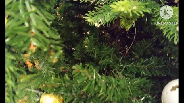 В поисках айсберга - 3 серия (гагайсберг 261)