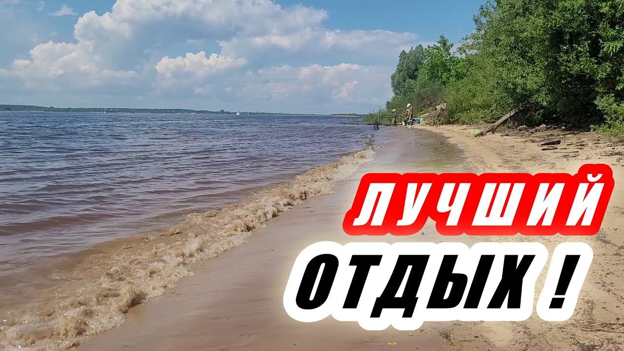 Весёлая рыбалка с семьёй на природе!