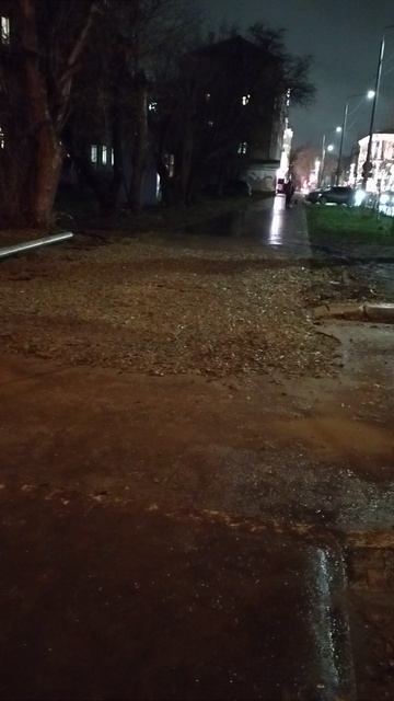 №994 ул. Полины Осипенко. 10 ноября 2025 г., 18:51:06 VID_20251110_185049912