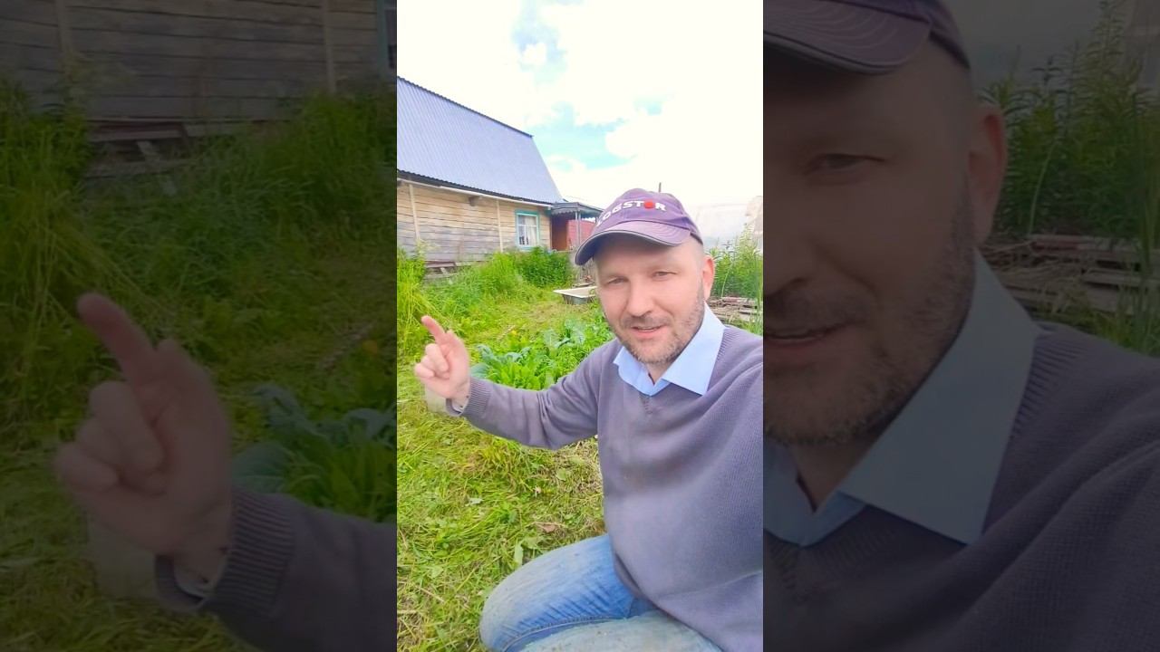 Работа на дачном участке! #удачныевыходные #прополка #сорняк #косить