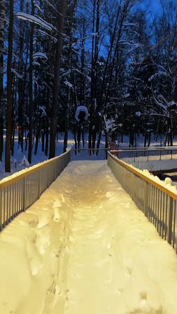 Вешняковский парк в Балашихе