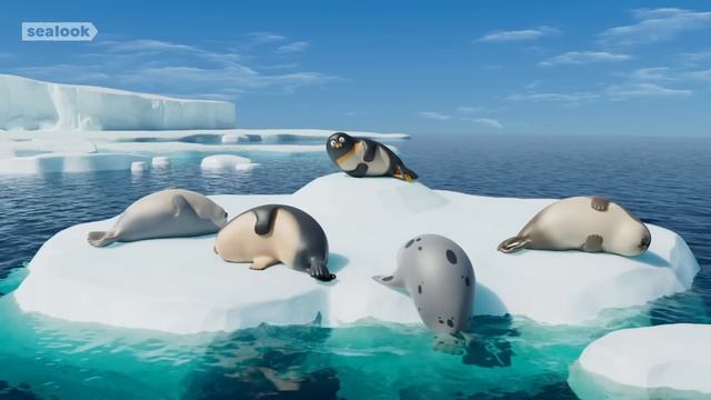 Мультфильм Взгляд Тюленя (Sealook). Ты вот-вот заснешь. Серия 3 (Все серии в описании)
