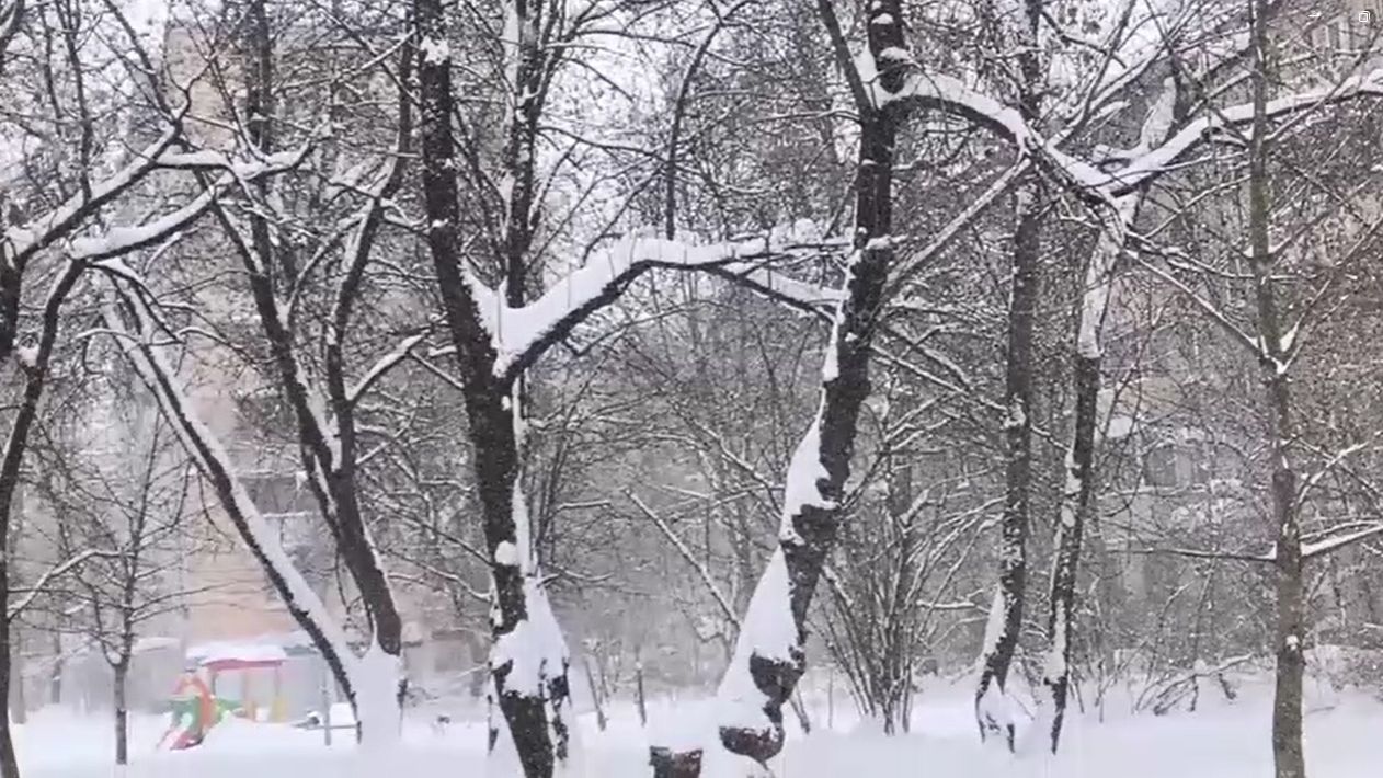 Аномально мощный снежный покров в январе. Зима прекрасна, пушистый снег превращают мир в сказку .