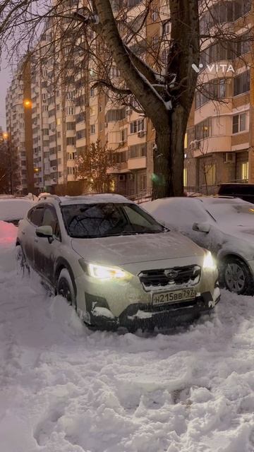 Актуальное ☃️🌨️❄️