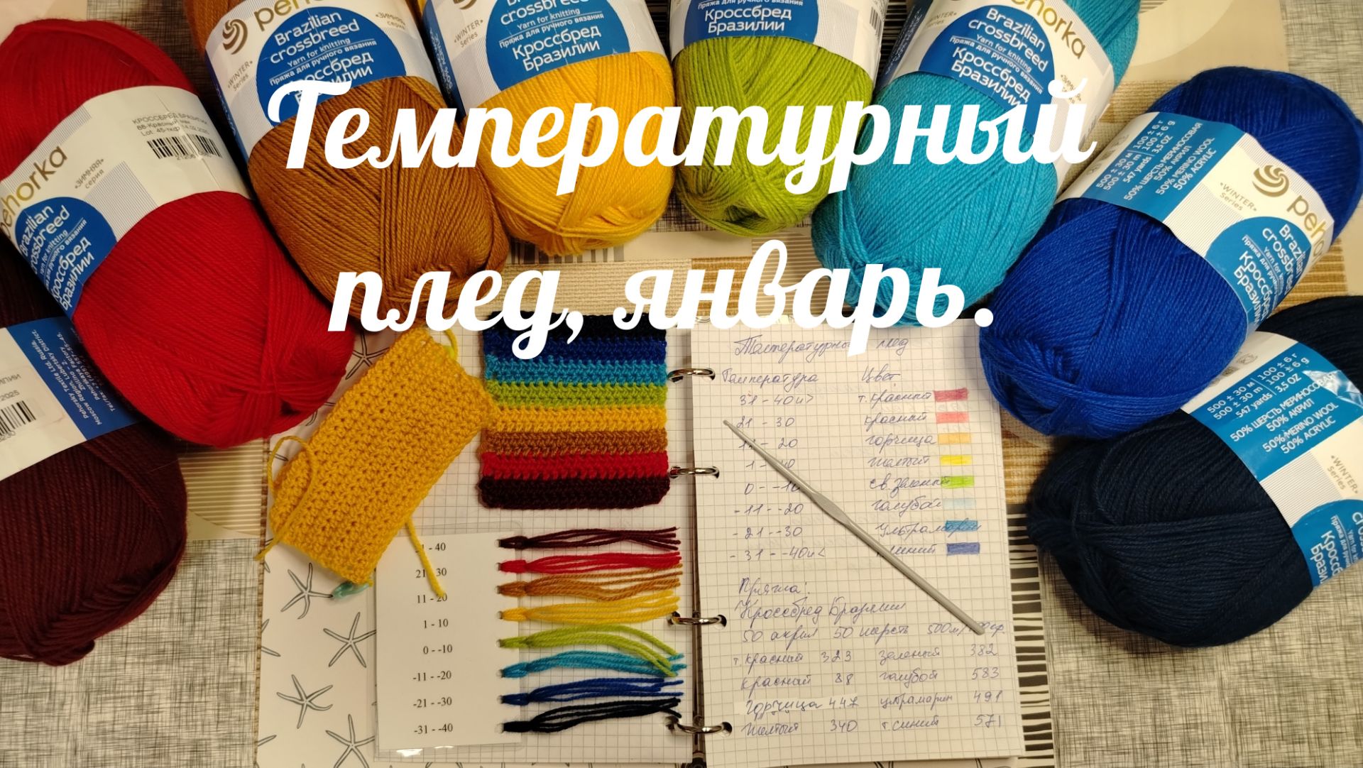 СП "Температурный плед с Катериной Шурм" 2026, январь, участник 2.