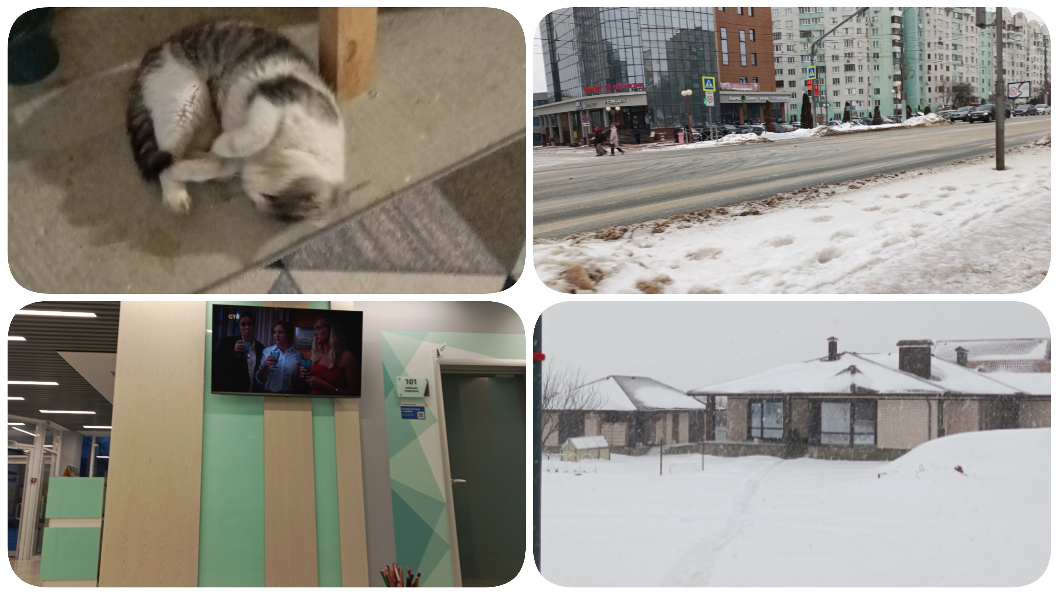 Vlog Ездили в больницу. Сильный снегопад. Готовим вкусняшки