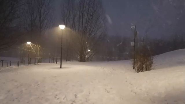 пой метель_ музыка и исполнение_Олег Сапегин,слова_ Татьяна Зуева,Олег Сапегин