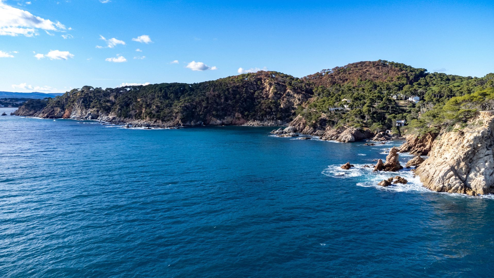 2025-01-31 Cala de Seniá - Cala dels Canyers - Cala Corbs, Palamós