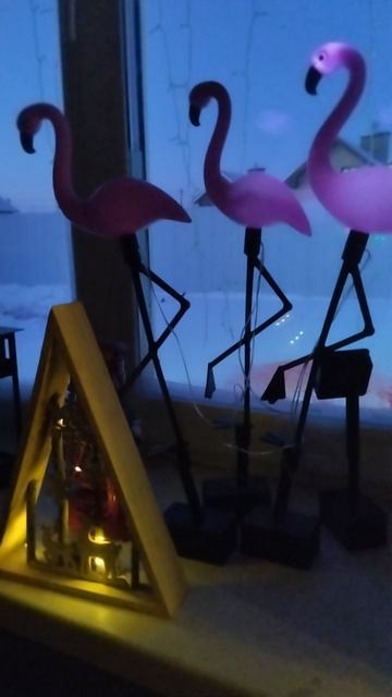 Розовые деревенский фламинго