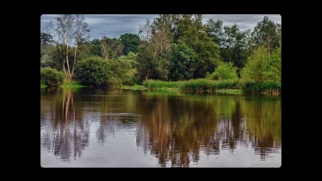 Nilotpala - Русь-тройка