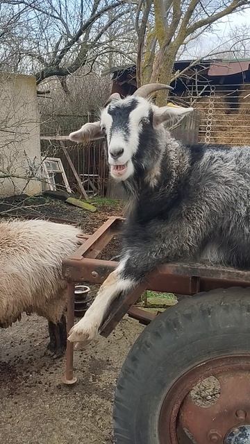 Полный релакс