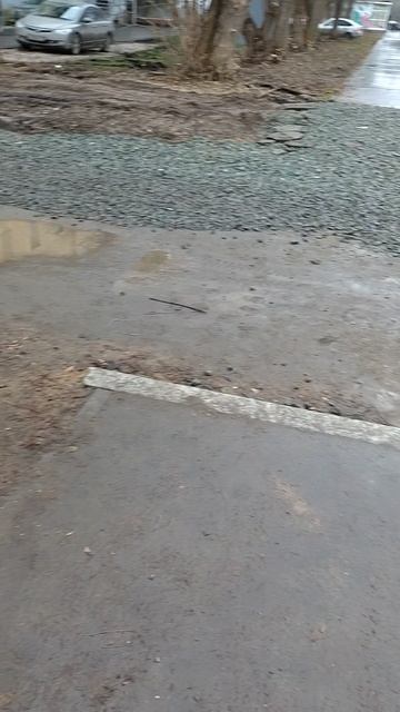 №1010	ул. Полины Осипенко. 14 ноября 2025 г., 15:00:27 VID_20251114_150005169