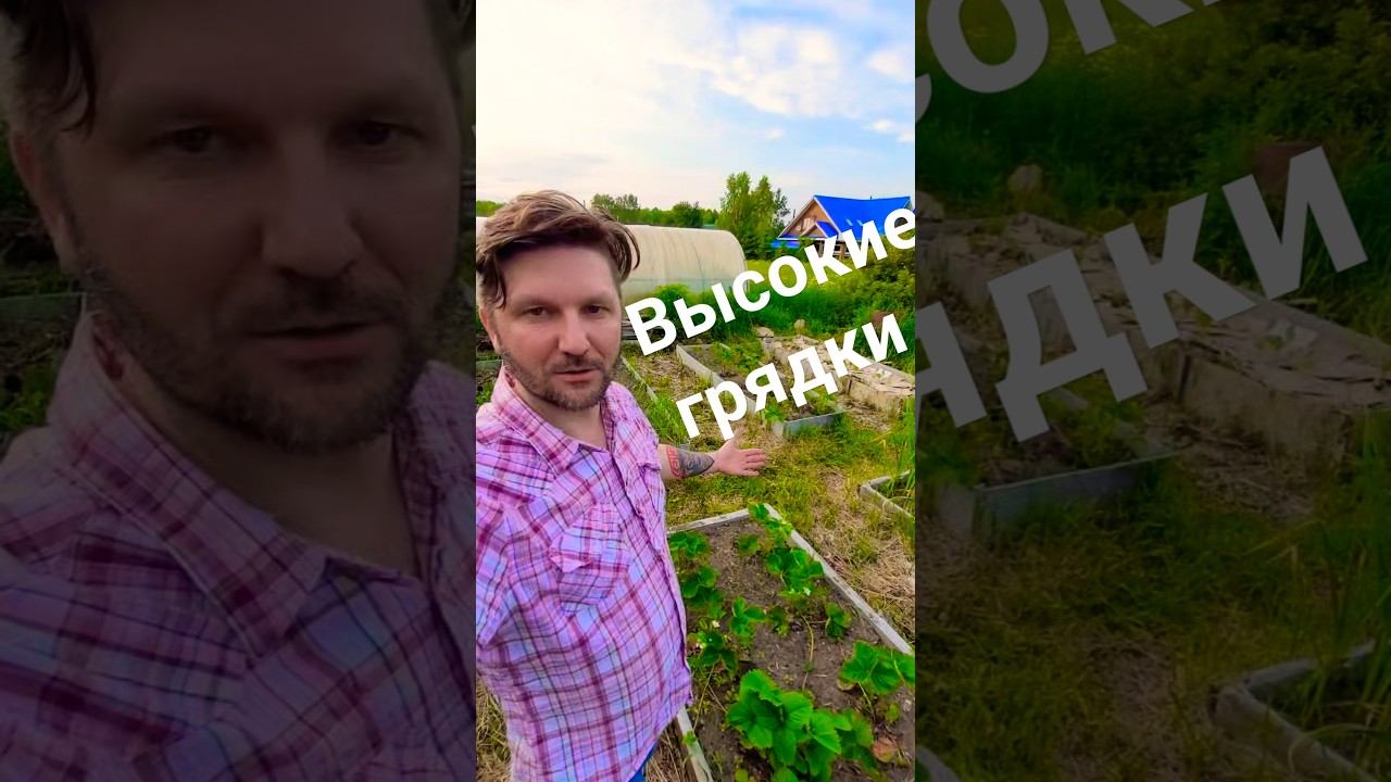 Что будет если не ухаживать за огородом. 07.06.2025. #удачныевыходные #влог