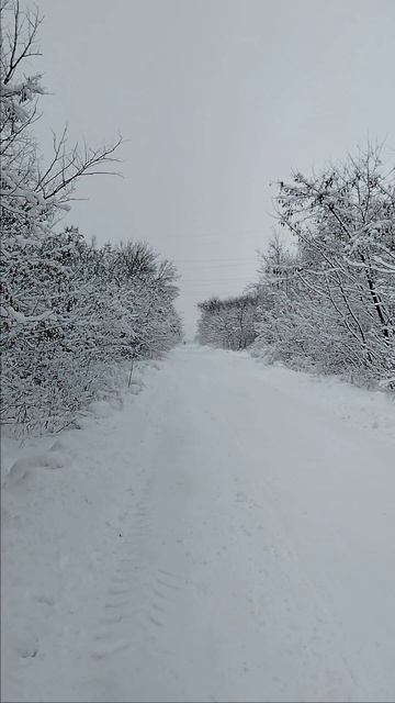 30.01.2026. На улице красота!