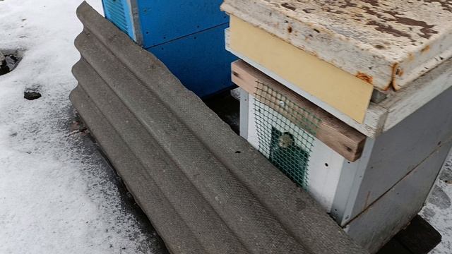 Замеряю температуру в клубе.