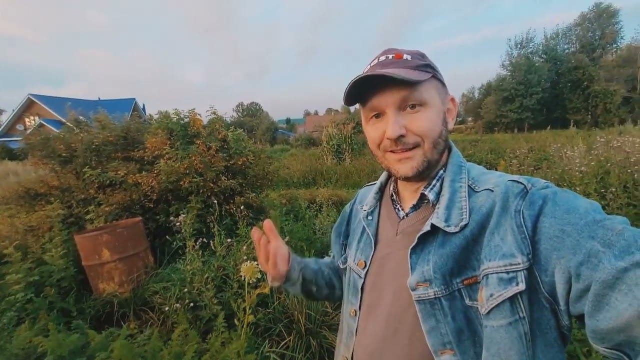 Обзор картофеля и огорода  на 10 августа 2024. Что и как растёт.