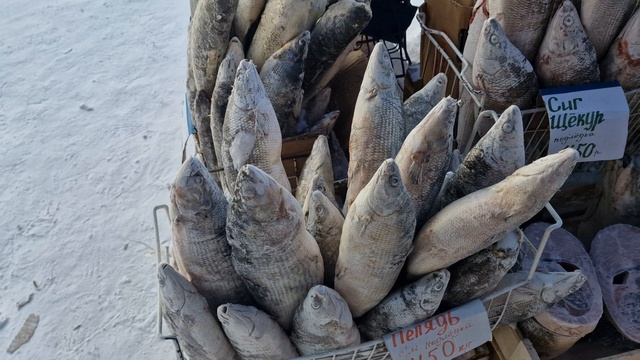 Цены на наружных рыбных рядах Крестьянского рынка г.Якутска 31 января 2026 года #yakutsk #fish